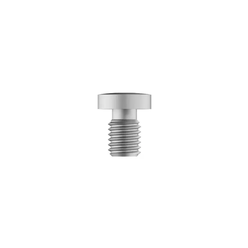 End Cap for AFN Nail - S.S. Manufacturer & Exporter | Siiora