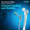 Intertan Nail for Fracture Healing & Stability